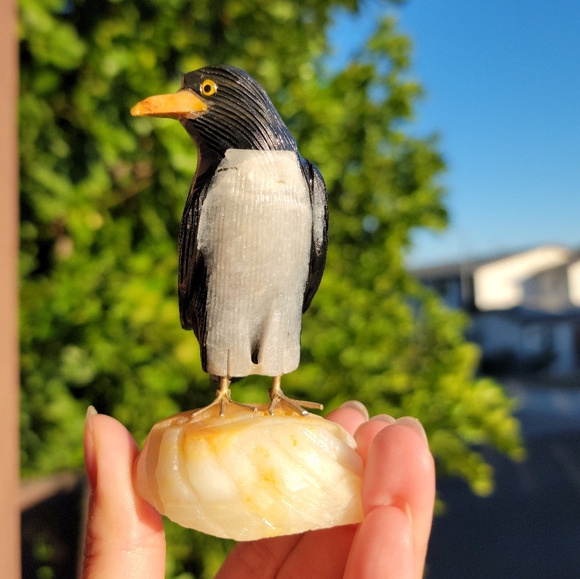 Other | New 4 Peruvian Black Obsidian Penguin | Poshmark